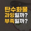 탄수화물 안먹으면 생기는 부족증상 Vs 중독 과잉 섭취 부작용 총정리 네이버 블로그